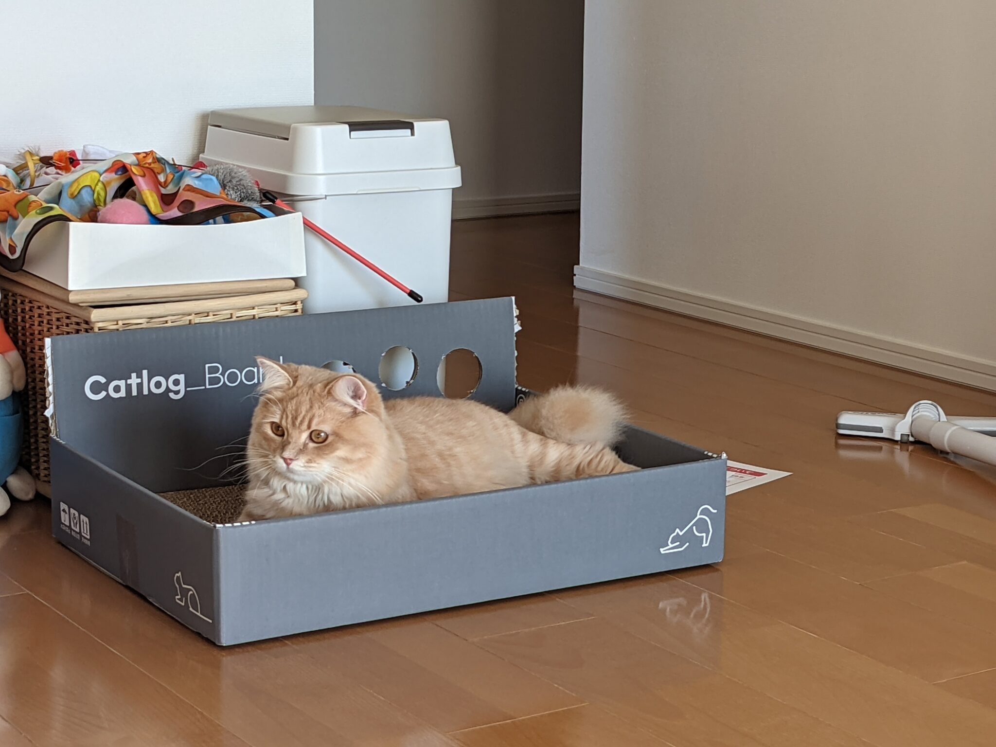 【3年利用レビュー】CatlogとCatlog Boardって実際どう？口コミ・評判も含めて解説！【クーポン有り】 – みんなのサイベリアン